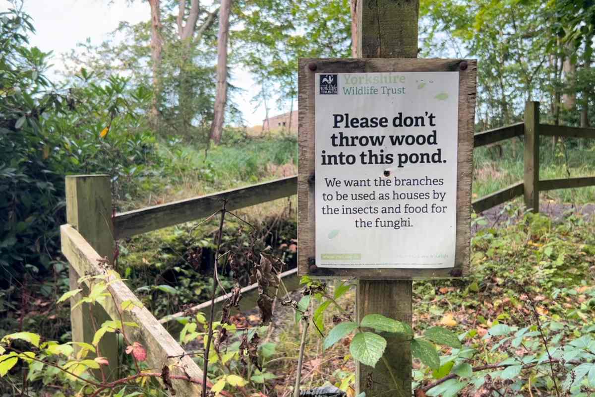 Exploring the Beauty of Moorland Nature Reserve York