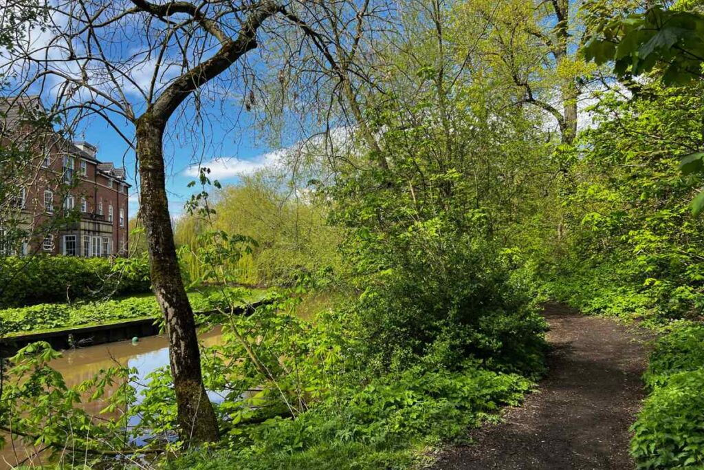 Enchanted Steps Along the Foss Fairy Trail: Discover York's Magical Pathway