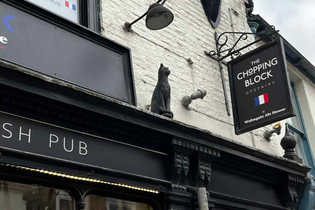 A Perfect Day Out In York for Cat Lovers