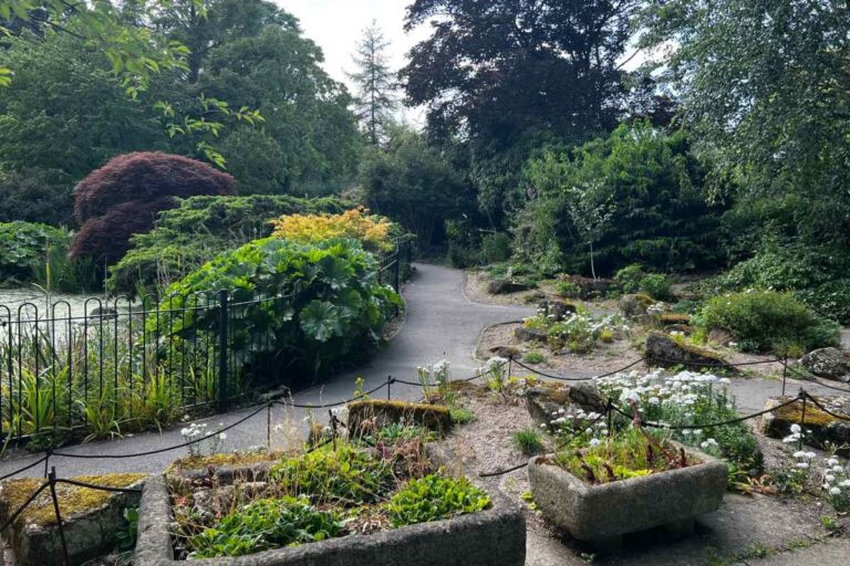 Homestead Park York: A Day of Adventure and Relaxation