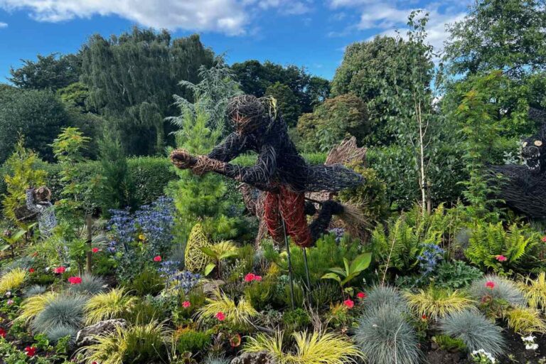 Homestead Park York: A Day of Adventure and Relaxation