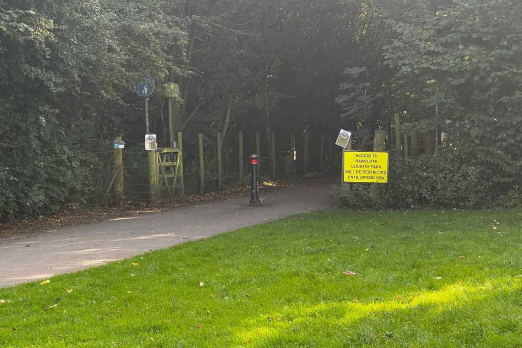 I've Discovered York's Best Dog Parks (My Top 5 Picks)