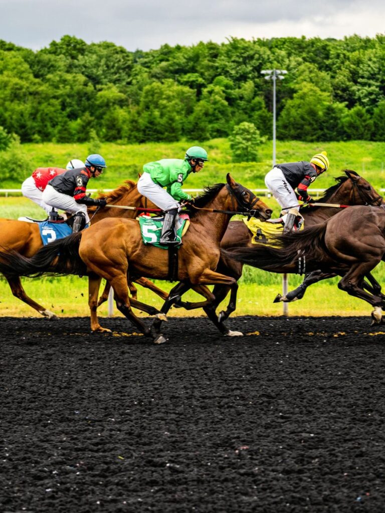 York Races – Discovering York