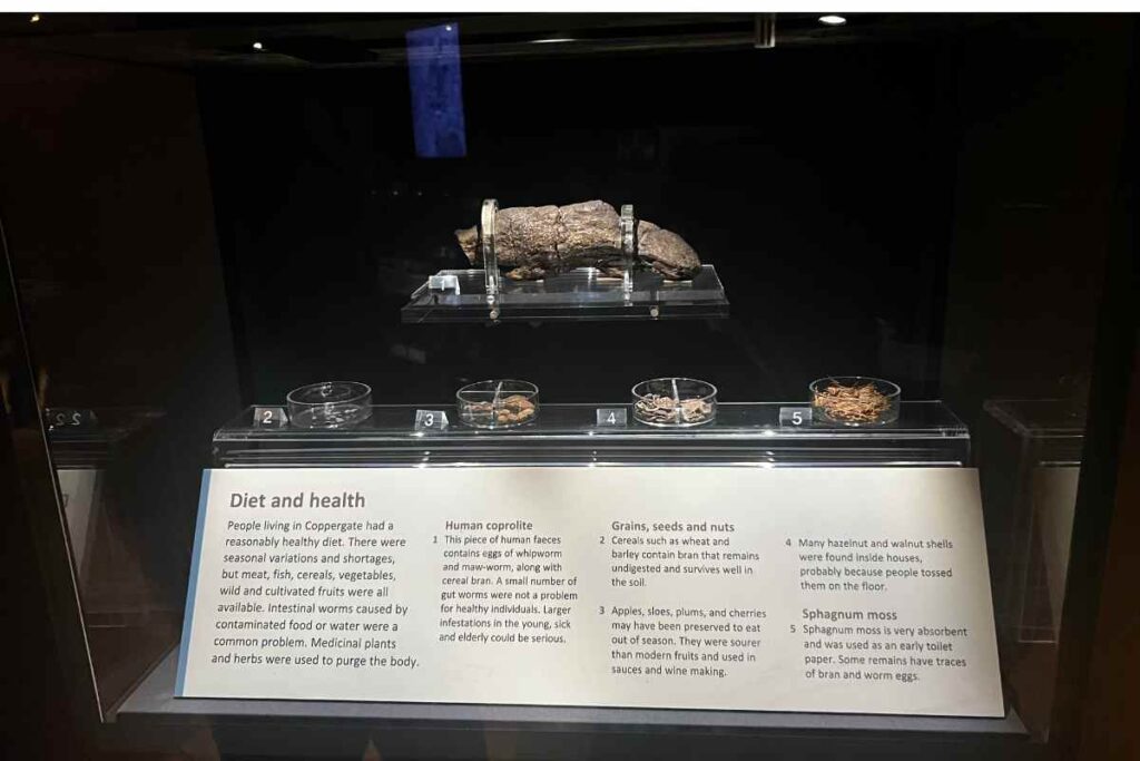 Exploring York's Viking Heritage: My Visit To Jorvik Viking Centre